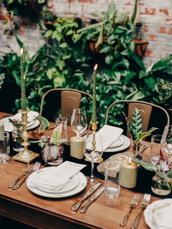 Elegant Dinner Setting with Plants and Candles in a Rustic Venue for a ...
