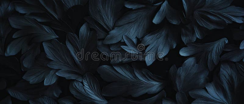 Elegant Embossed Paper Texture Overlay on a Black Background with ...
