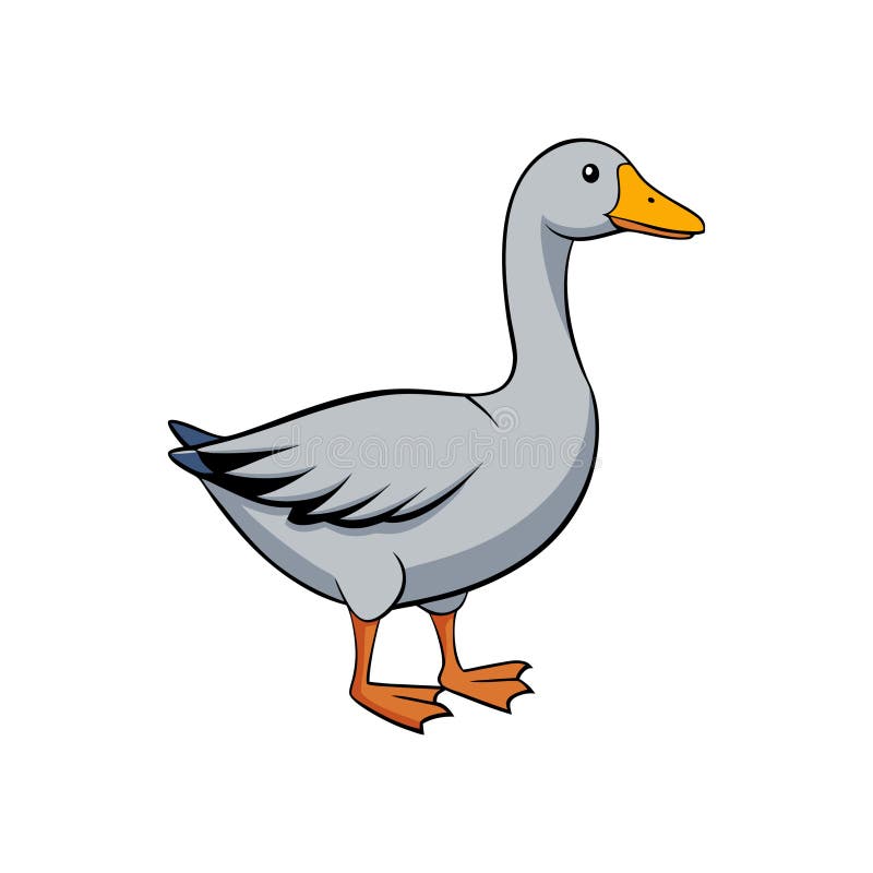 Elegant Emperor Goose Illustration Stock Illustration - Illustration of ...