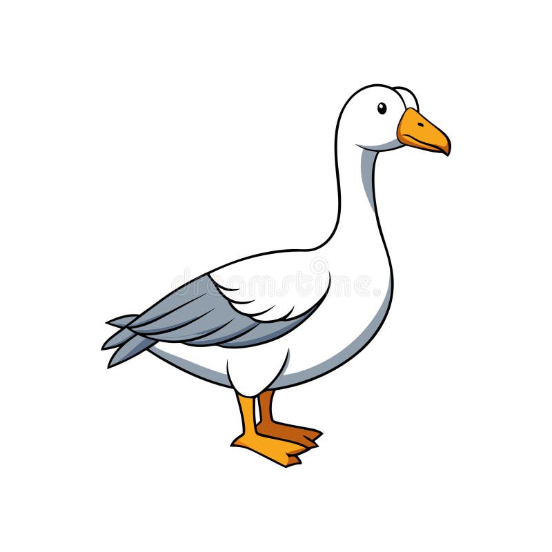 Elegant Emperor Goose Portrait Stock Illustration - Illustration of ...