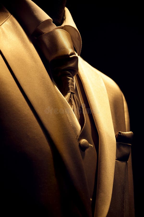 Elegant en modieus kostuum stock foto. Image of kleinhandels - 14804110