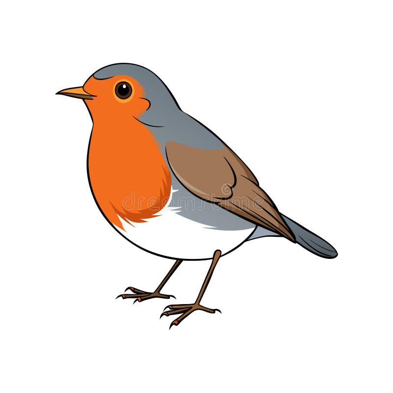 Elegant European Robin Portrait Stock Illustration - Illustration of ...