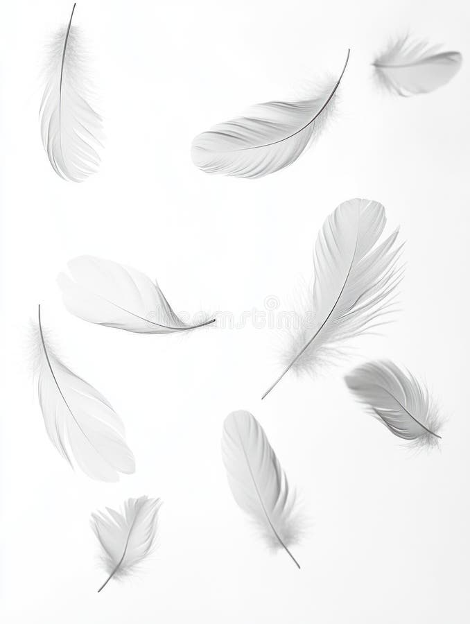 Elegant Flying Feathers stock illustration. Illustration of sleek ...