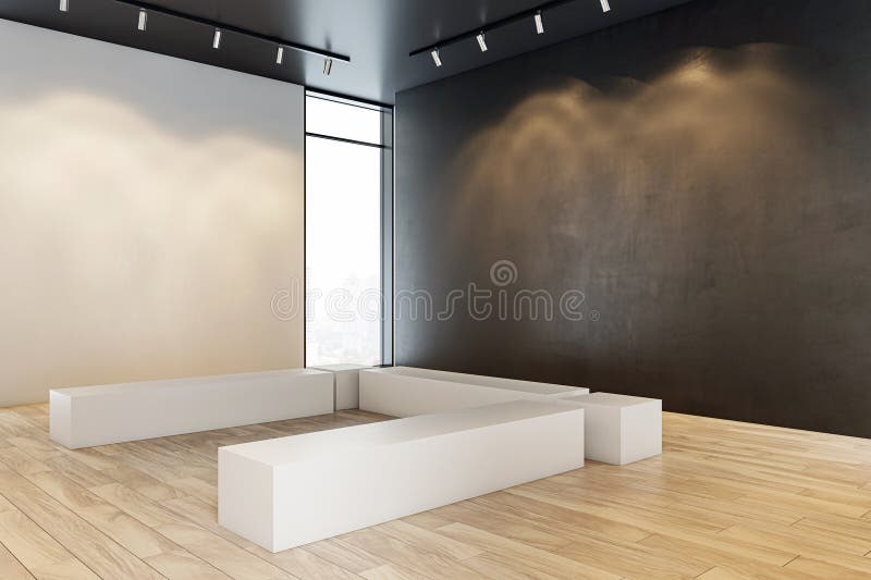 Elegant Gallery Interior with a Textured Blank Wall. 3D Rendering Stock ...