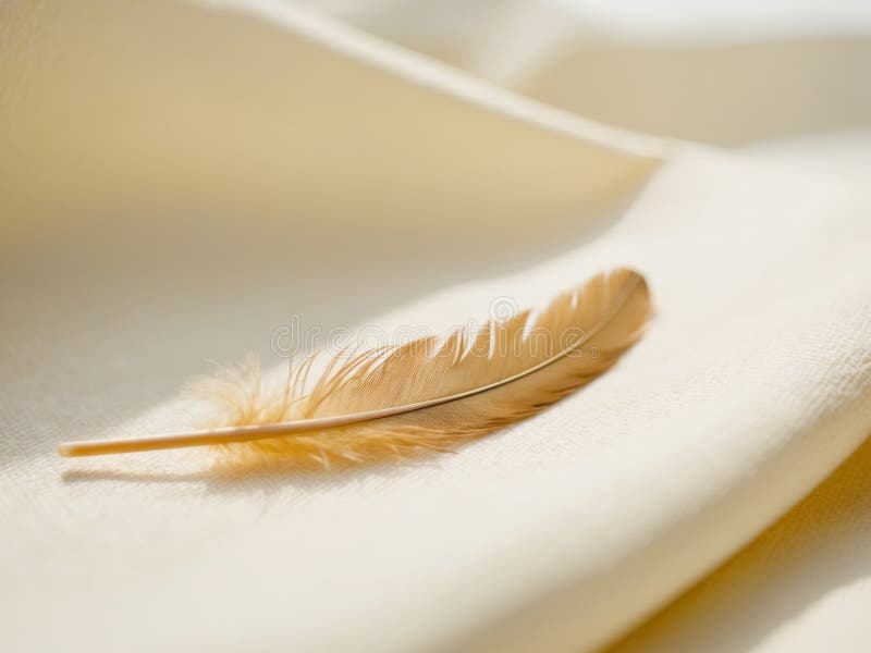 Elegant Golden Feather on Soft Yellow Fabric. Stock Photo - Image of ...