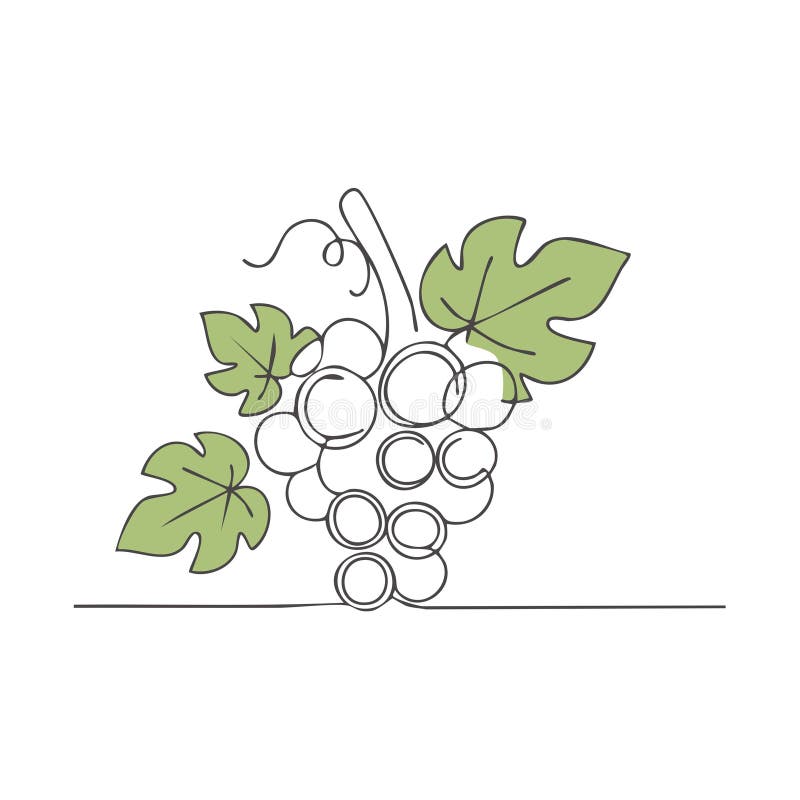 Elegant Grape Cluster Line Drawing with Green Leaves on a Simple ...