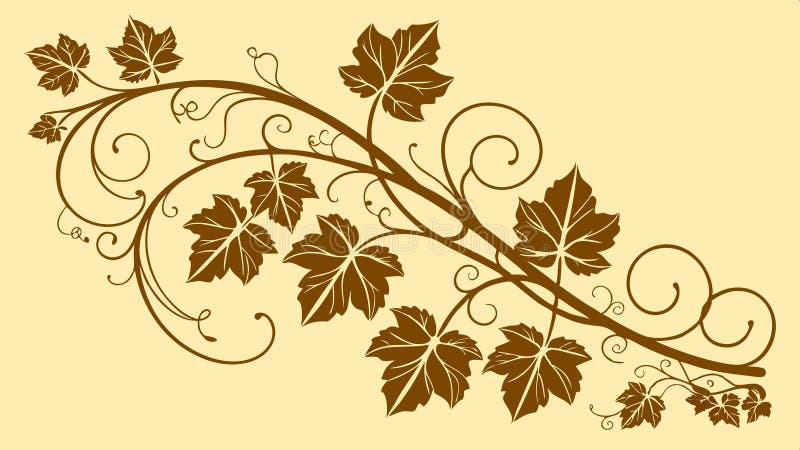 Elegant Grapevine Flourish Decorative Element Illustration Vector ...
