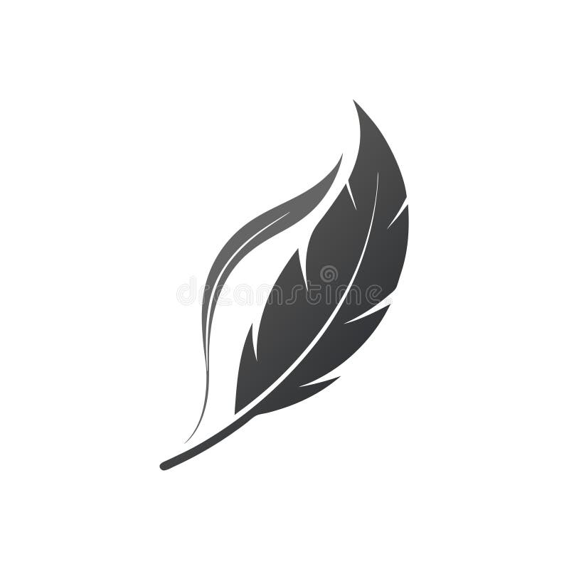 Elegant Gray Feather Design on White Background Creating a Minimalist ...