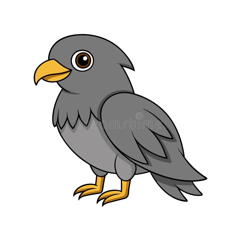 Elegant Gray Hawk Bird Vector Stock Illustration - Illustration of ...