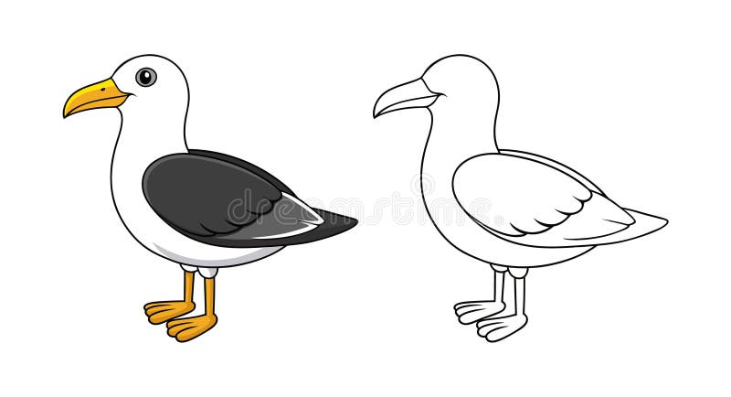 Elegant Great Black-backed Gull Bird Vector Stock Vector - Illustration ...