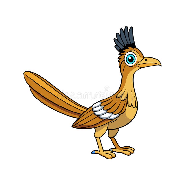 Elegant Greater Roadrunner Bird Vector Stock Illustration ...