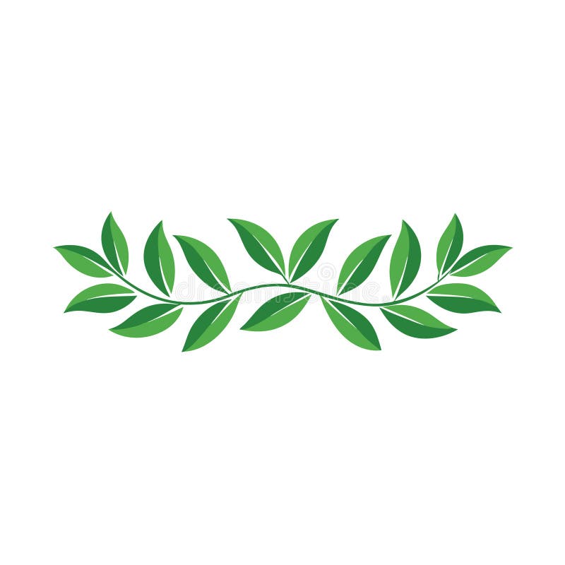 Elegant Green Leaf Vine Border: a Simple Botanical Element on White ...