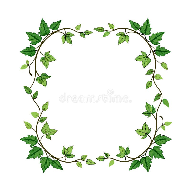 Elegant Green Leaf Vine Frame Forming a Square for Text and Graphic ...
