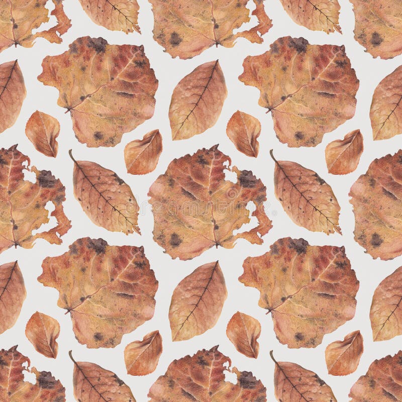 Elegant Hand Drawn Pattern Design with Illustrations of Fallen Leaves ...