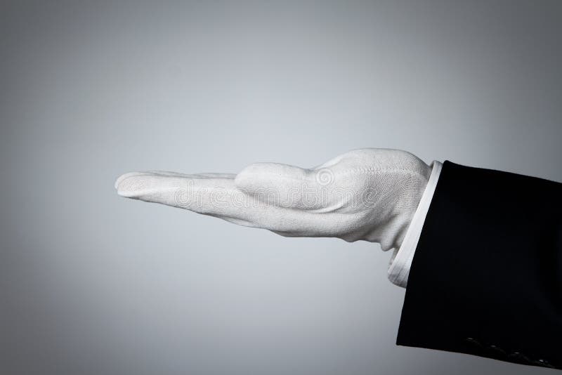 Elegant Hand Presenting Some Product Stock Image - Image of open ...