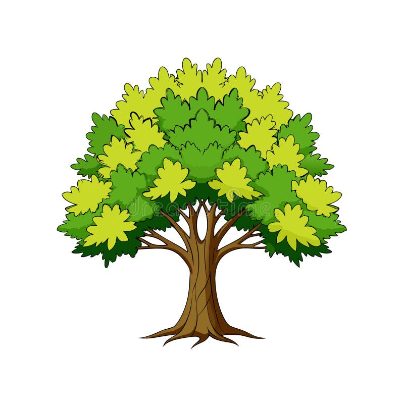 Elegant Hedge Maple Tree Illustration Design Stock Photo - Illustration ...