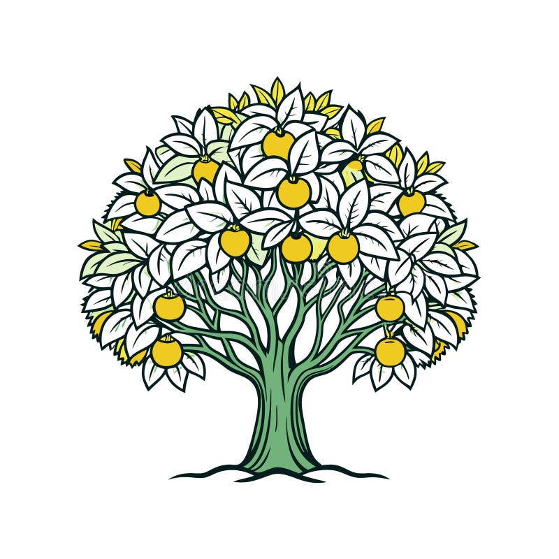 Elegant Citrus Tree Design with Bold Outline Stock Illustration ...
