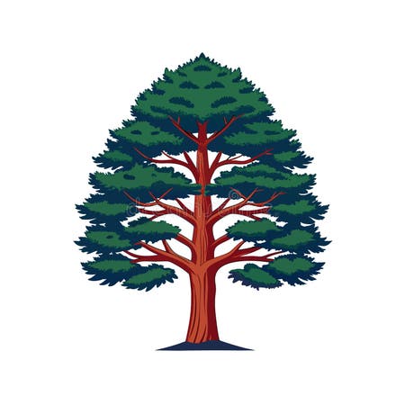 Deodar Tree Stock Illustrations – 57 Deodar Tree Stock Illustrations ...