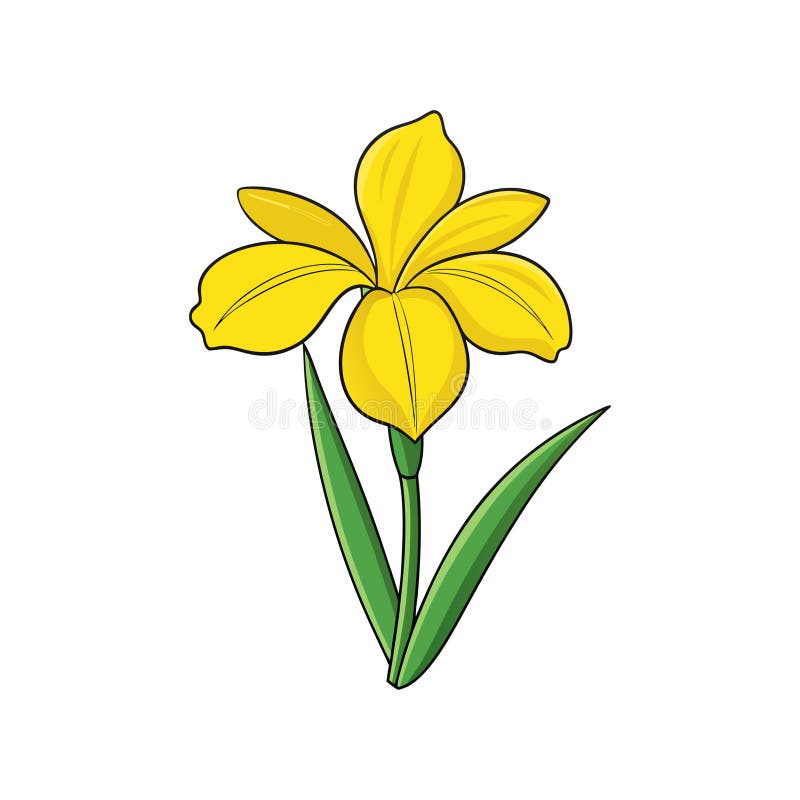 Elegant Yellow Iris Flower in Vibrant Display Stock Photo ...