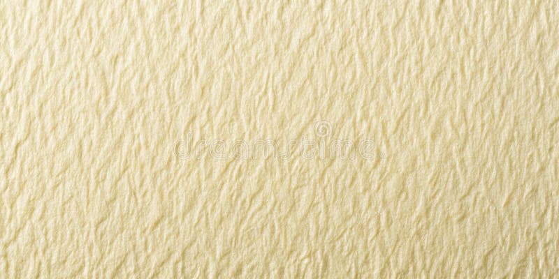 Elegant Ivory Textured Paper Background a Versatile Design Element ...