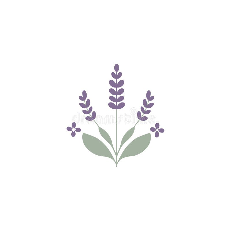 Elegant Lavender Sprig Illustration Set Against a Pristine White ...