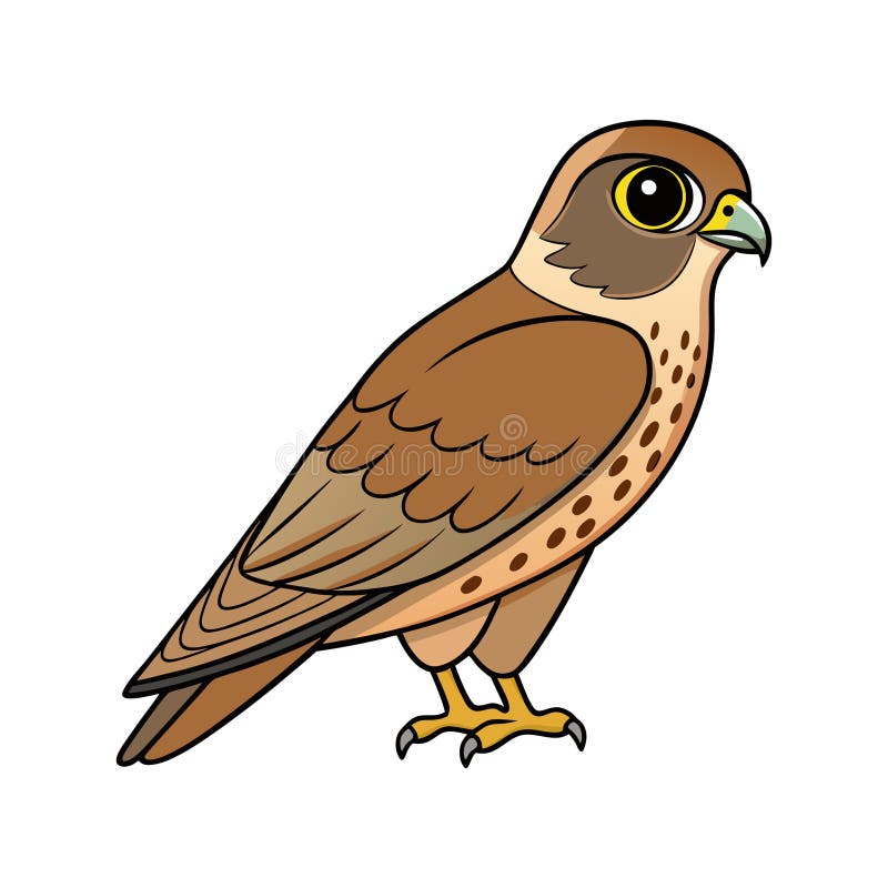 Elegant Lesser Kestrel Bird Vector Stock Illustration - Illustration of ...