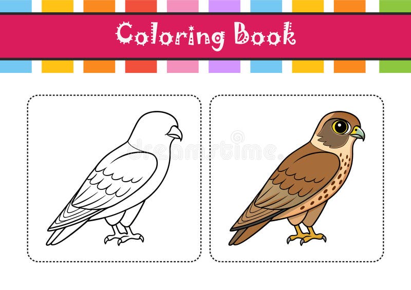 Elegant Lesser Kestrel Bird Vector Stock Vector - Illustration of ...