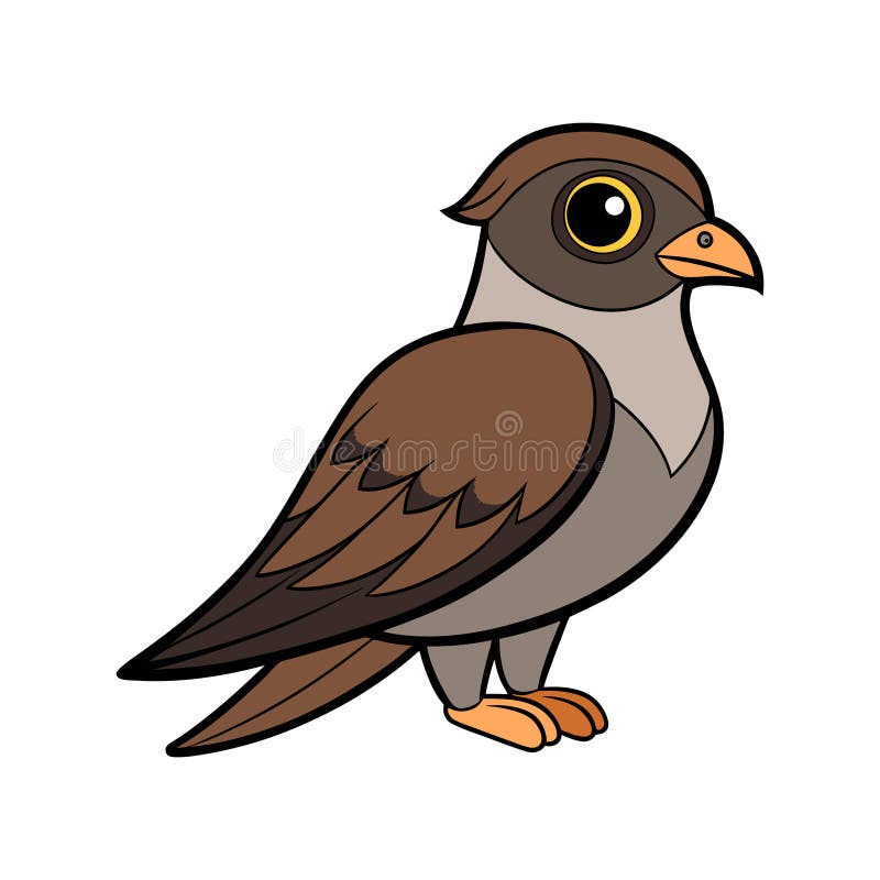 Elegant Lesser Nighthawk Bird Vector Stock Illustration - Illustration ...