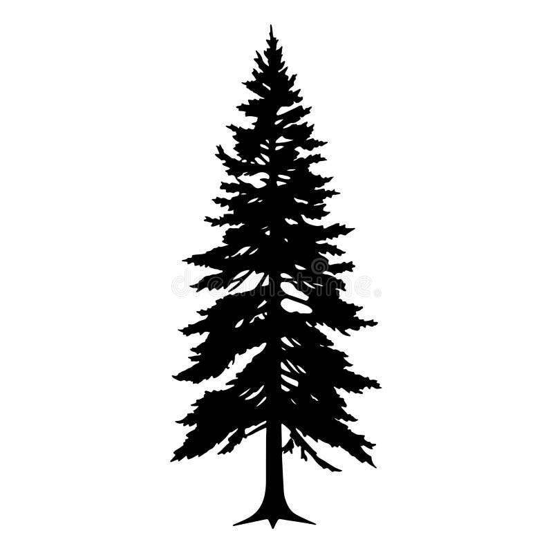 Elegant Line Art Silhouette of a Tall Pine Tree Stock Vector ...