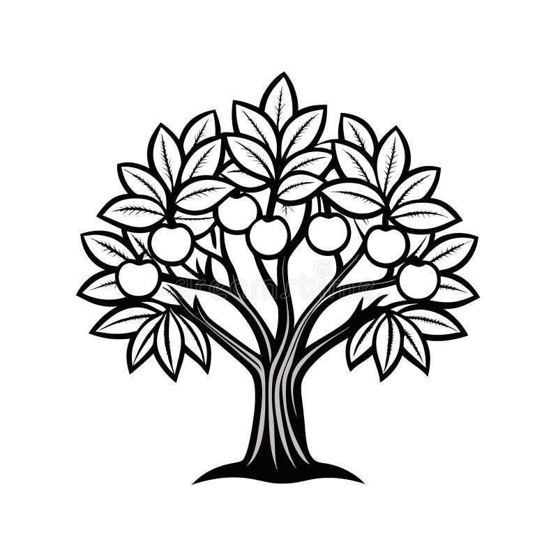 Elegant Loquat Tree Artwork Stock Illustration - Illustration of ...