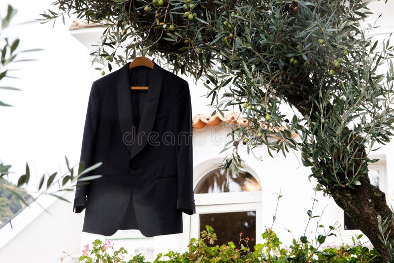 Elegant Luxury Wedding Black Suit with on Hanger on the Tree Stock ...