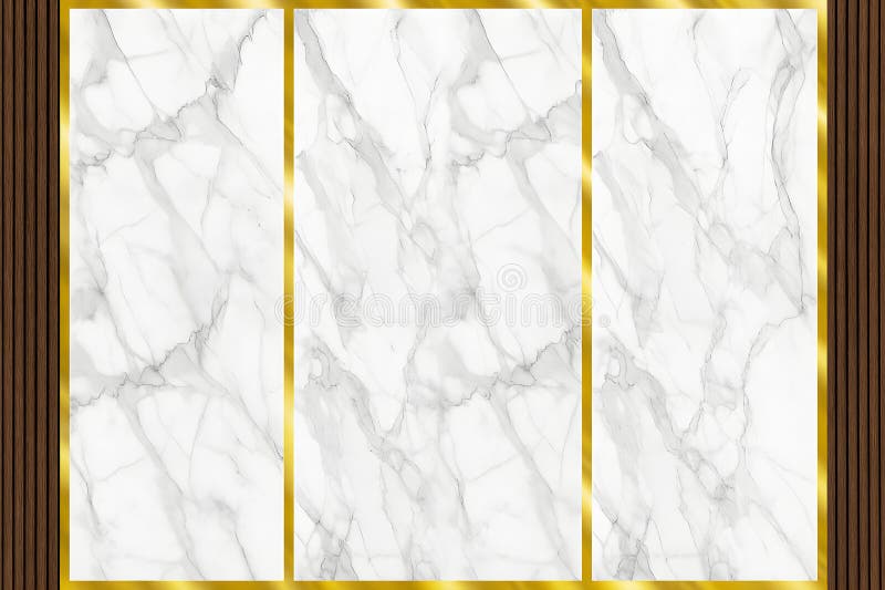 Elegant Marble Wall Panel with Gold Frames Stock Illustration ...