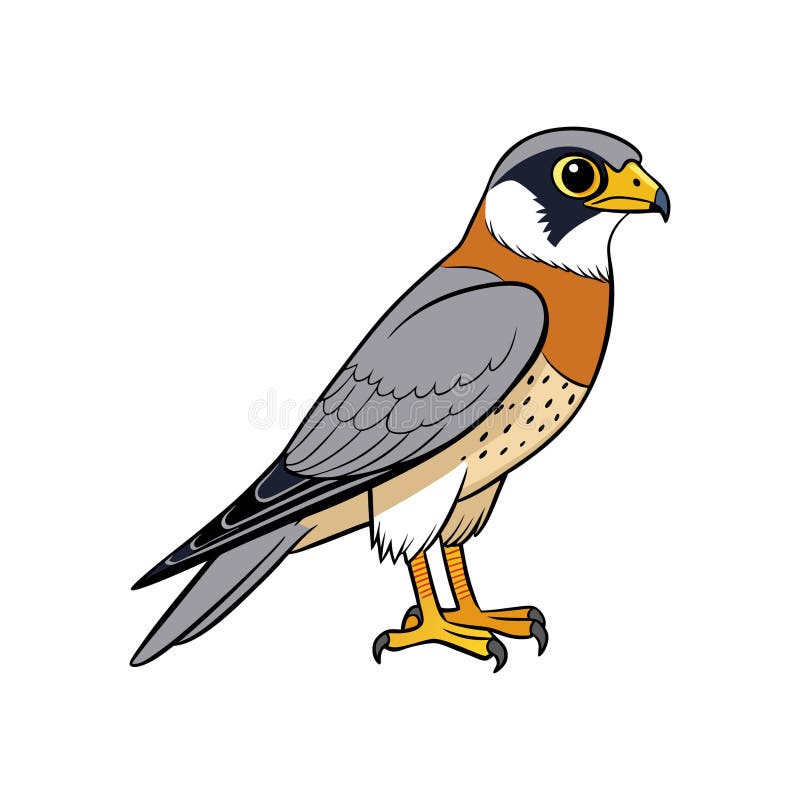 Elegant Merlin Bird Artistic Representation Stock Photo - Illustration ...