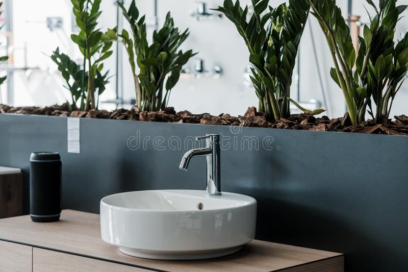 Elegant Modern Bathroom Interior with Stylish Basin and Greenery ...