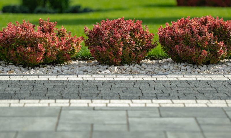 Elegant Modern Concrete Bricks Driveway Stock Image - Image of ...