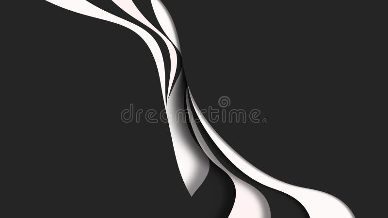 Elegant Monochrome Capture of Shell on Dark Backdrop Stock Footage ...