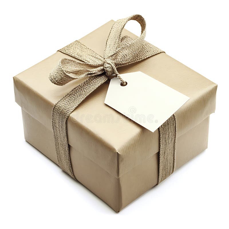 Elegant Neatly Wrapped Gift Box with Ribbon and Bow Stock Image - Image ...