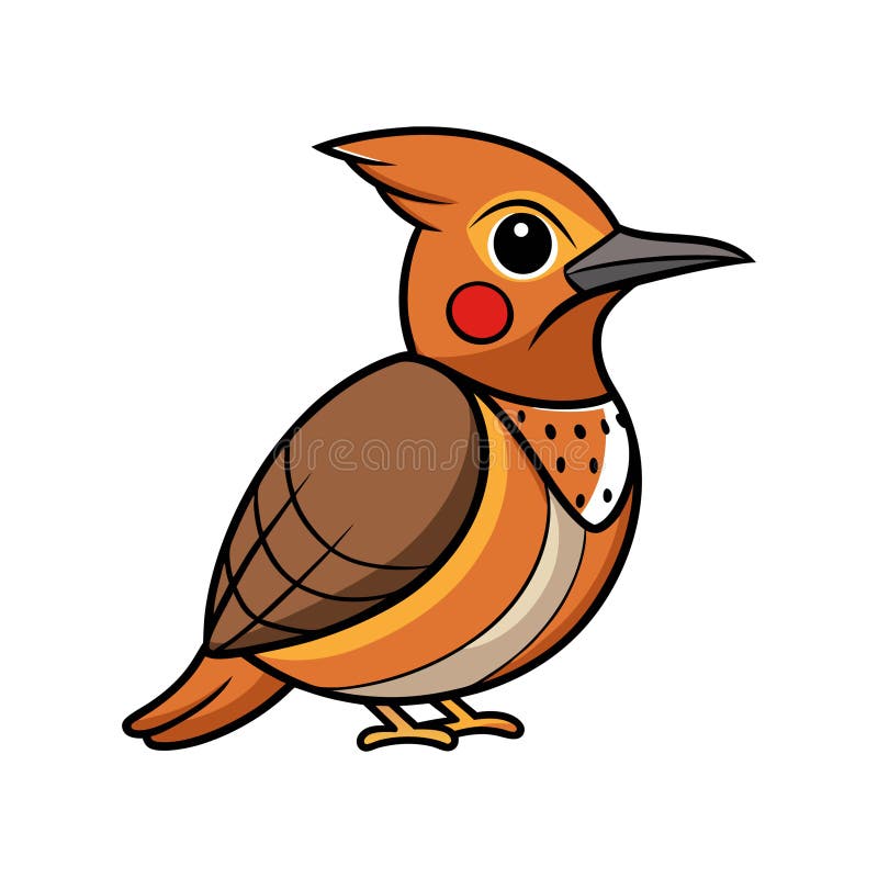 Elegant Northern Flicker Bird Vector Stock Illustration - Illustration ...