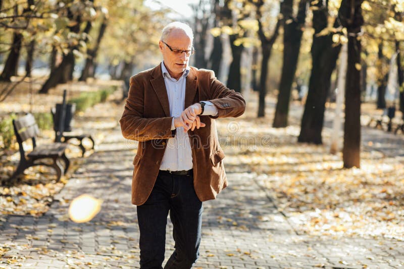 Elegant old men walking stock image. Image of forest - 62491907