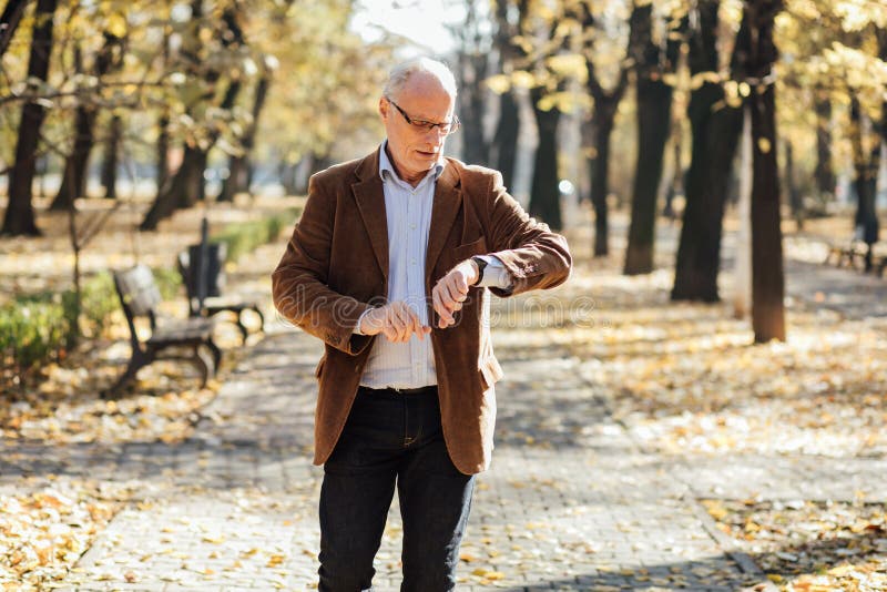Elegant old men walking stock photo. Image of adult, nature - 62492000