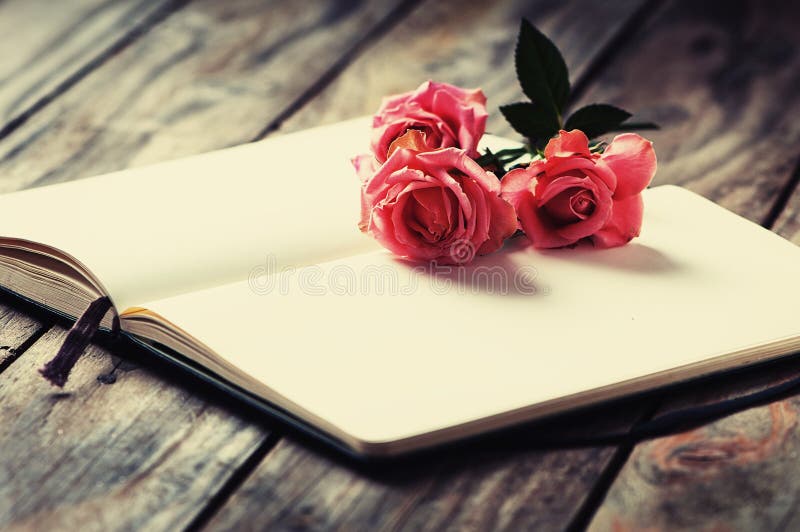 Elegant Open Book with Pink Roses Stock Photo - Image of roses ...