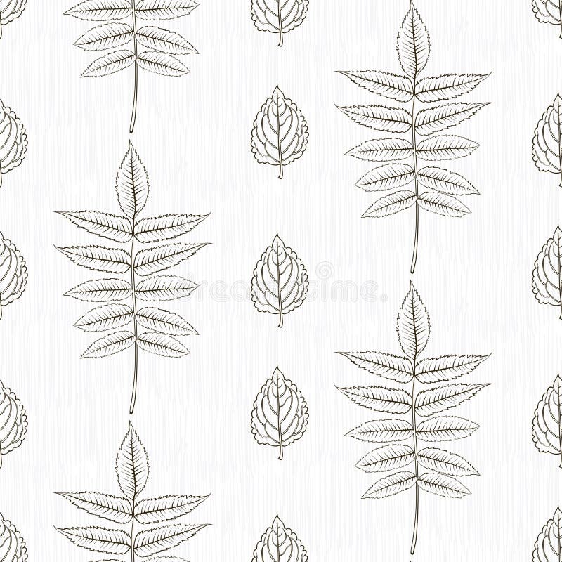 Elegant Pattern with Leafs Drawn in Thin Lines Stock Vector ...