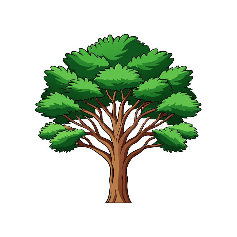 Elegant Podocarpus Tree Artwork Stock Illustration - Illustration of ...