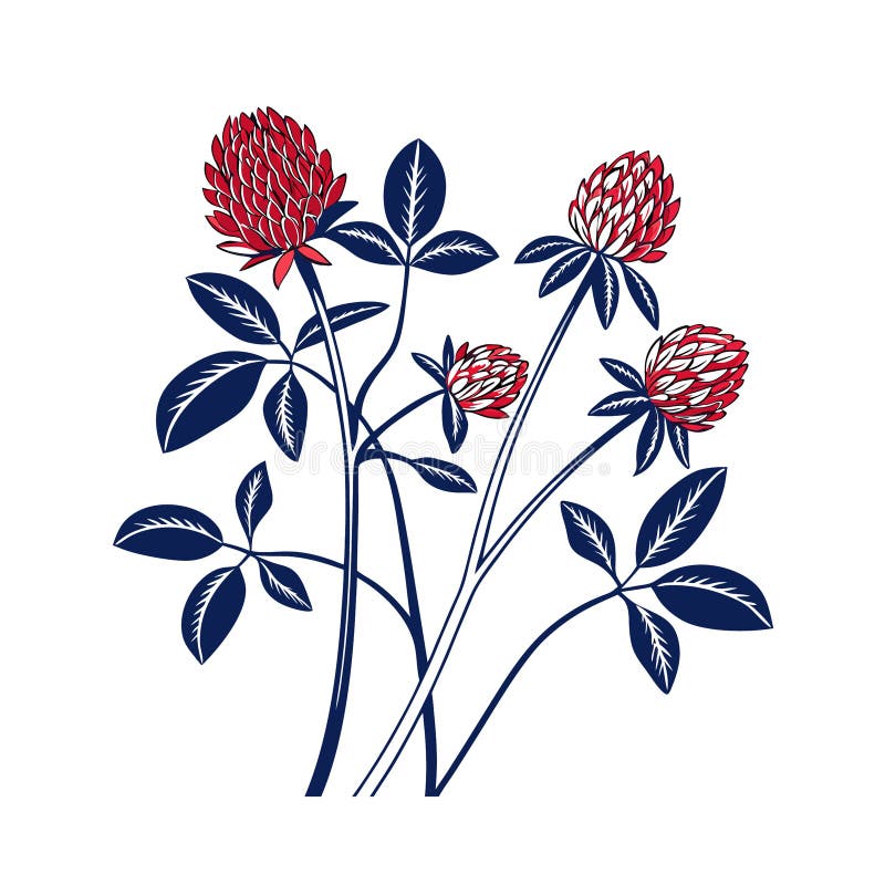 Clover Houseplant Artwork Stock Illustrations – 4 Clover Houseplant ...