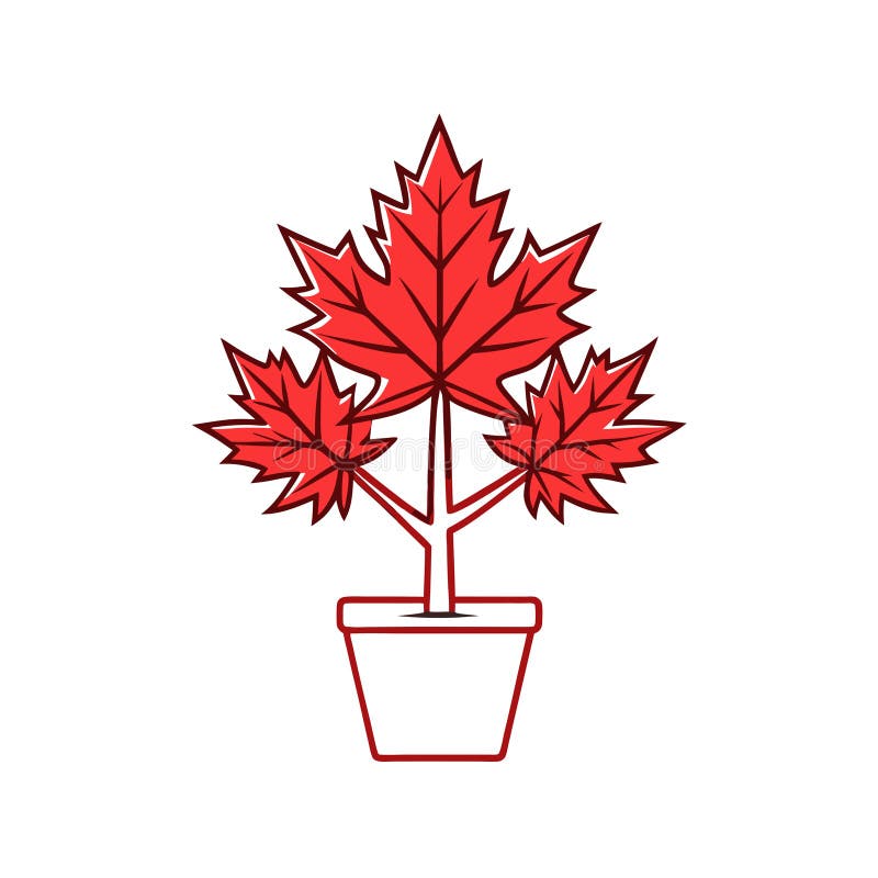 Elegant Red Maple Houseplant Design Stock Illustrations – 10 Elegant ...