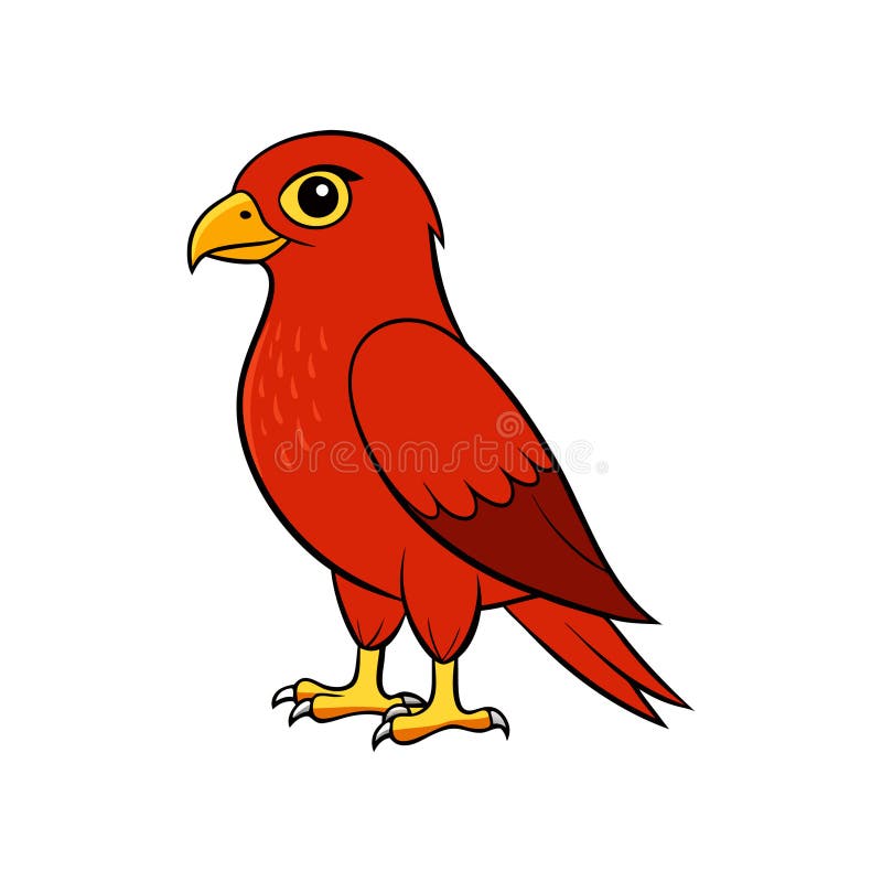 Elegant Red-shouldered Hawk Illustration Stock Photo - Illustration of ...