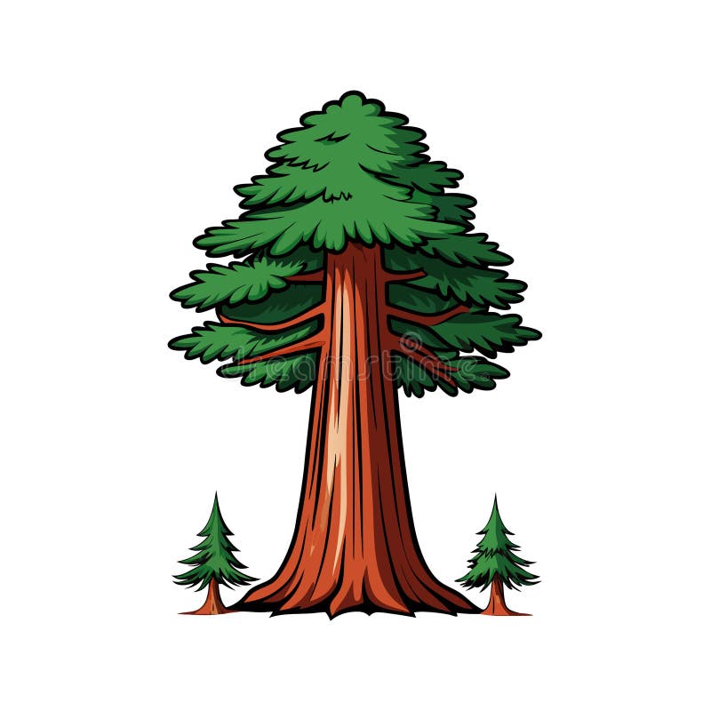 Elegant Redwood Tree Bold Design Stock Illustration - Illustration of ...