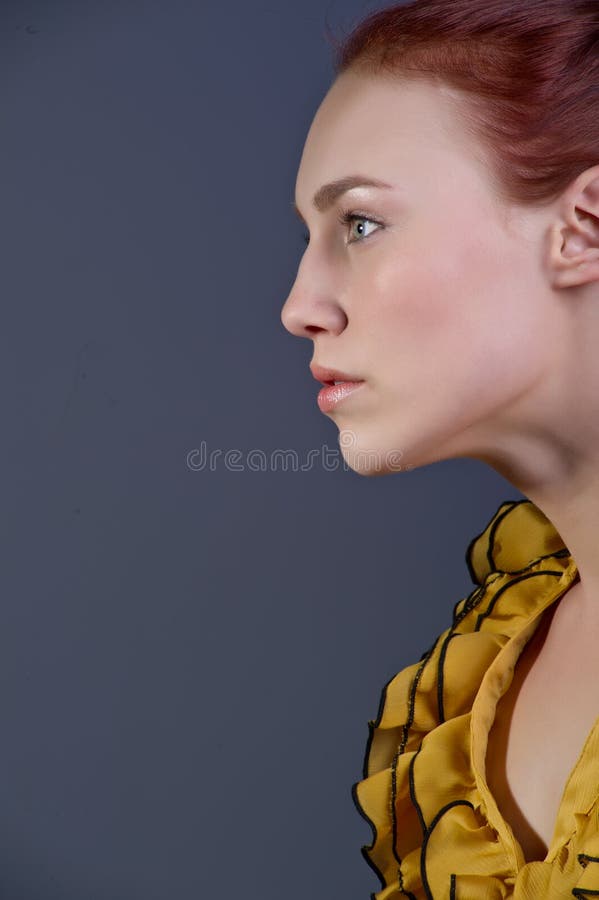 Elegant Rood Hoofd stock afbeelding. Image of haar, meisje - 22826025