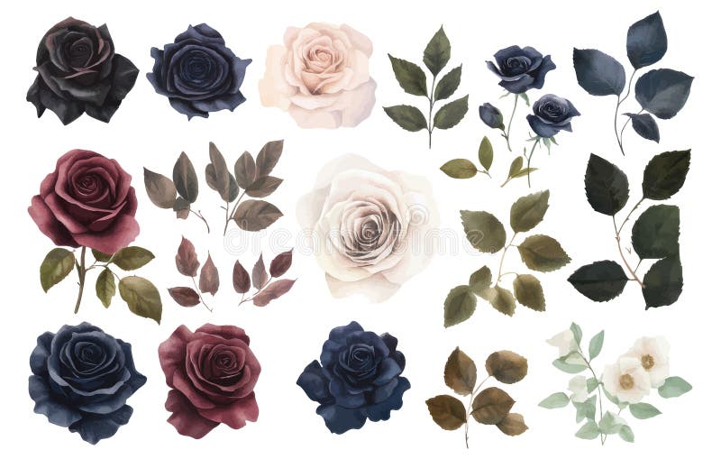 Elegant Roses and Foliage Collection in Neutral Tones Stock Vector ...