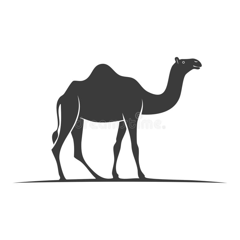 Elegant Silhouette of a Camel Stock Vector - Illustration of template ...